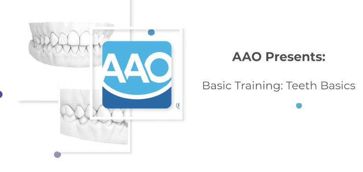 Ortho Staff Training | AAO
