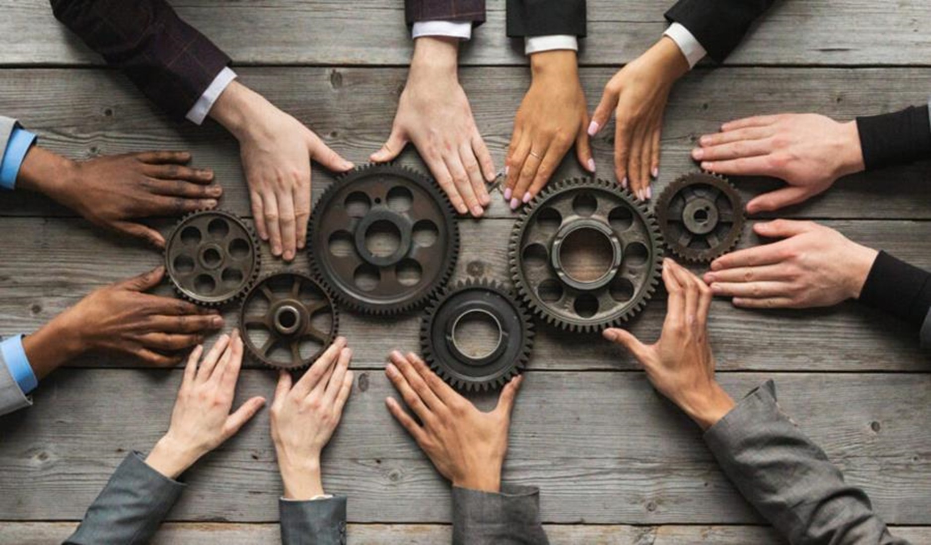 Help Lead AAO's DEI Efforts by Joining the Special Committee on ...